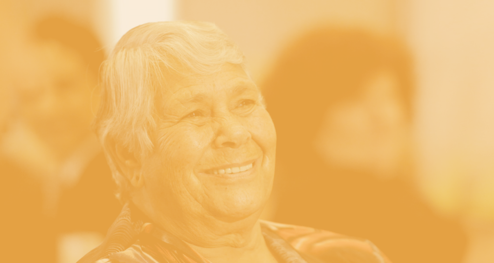 Lowitja Institute - Lowitja Institute