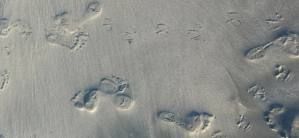 About us - Lowitja Institute