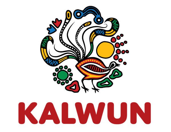 Actioning Indigenous Data Sovereignty - Lowitja Institute