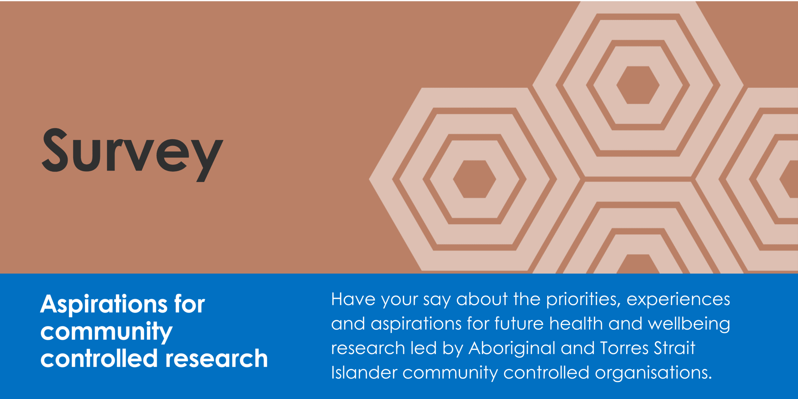 Looking back to look forward: aspirations for community controlled ...